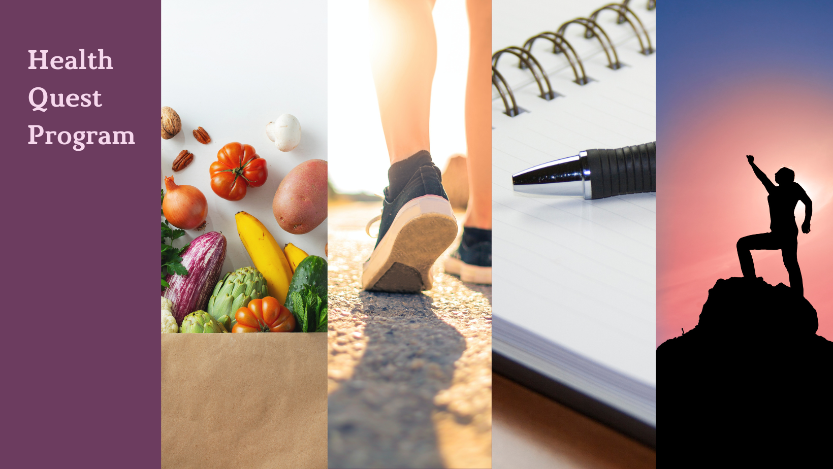 Coaching Packages – Life & Health Coaching